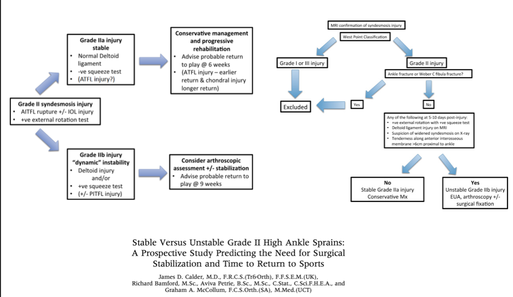 Mise au point sur le complexe ligamentaire de la syndesmose tibio ...
